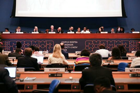 Highlights from COP13/MOP36 – Day 4 | eJARN.com