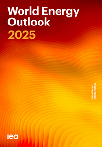 Heat Pumps at the Heart of Global Decarbonisation: Insights from the ...